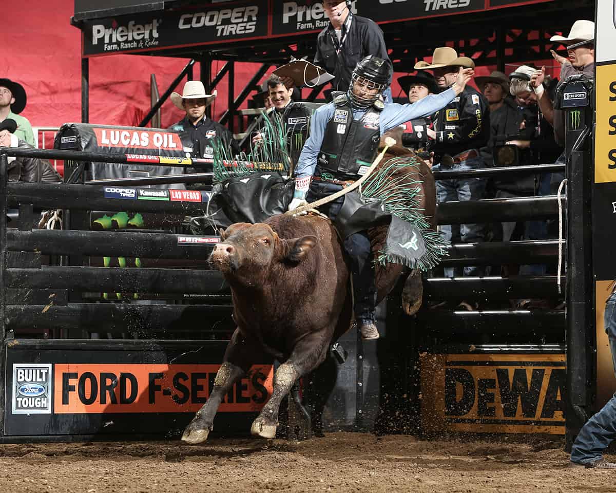 A Detailed Look at the Professional Bull Riders’ Photo Workflow ...