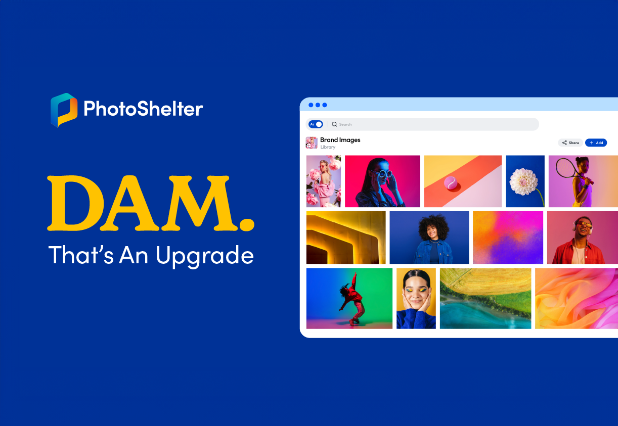 New PhotoShelter Library UI with DAM AI Tagging Boosts Marketing Teams